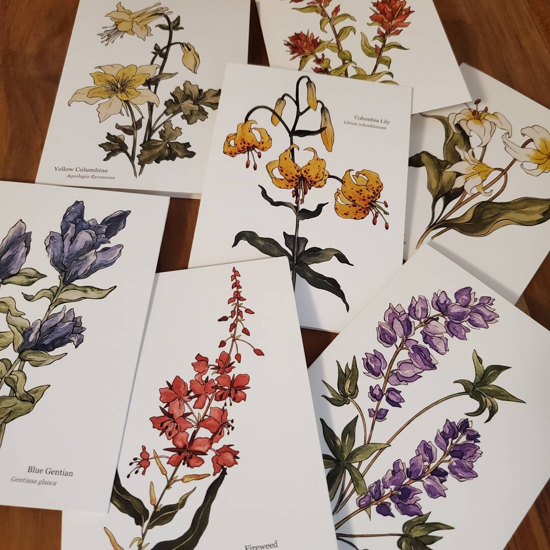 3x5 PNW Wildflower Cards (variety Pack of 8) - Etsy