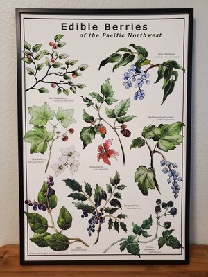 Printable Timeline, History Timeline, Wall Timeline, Book of Centuries ...