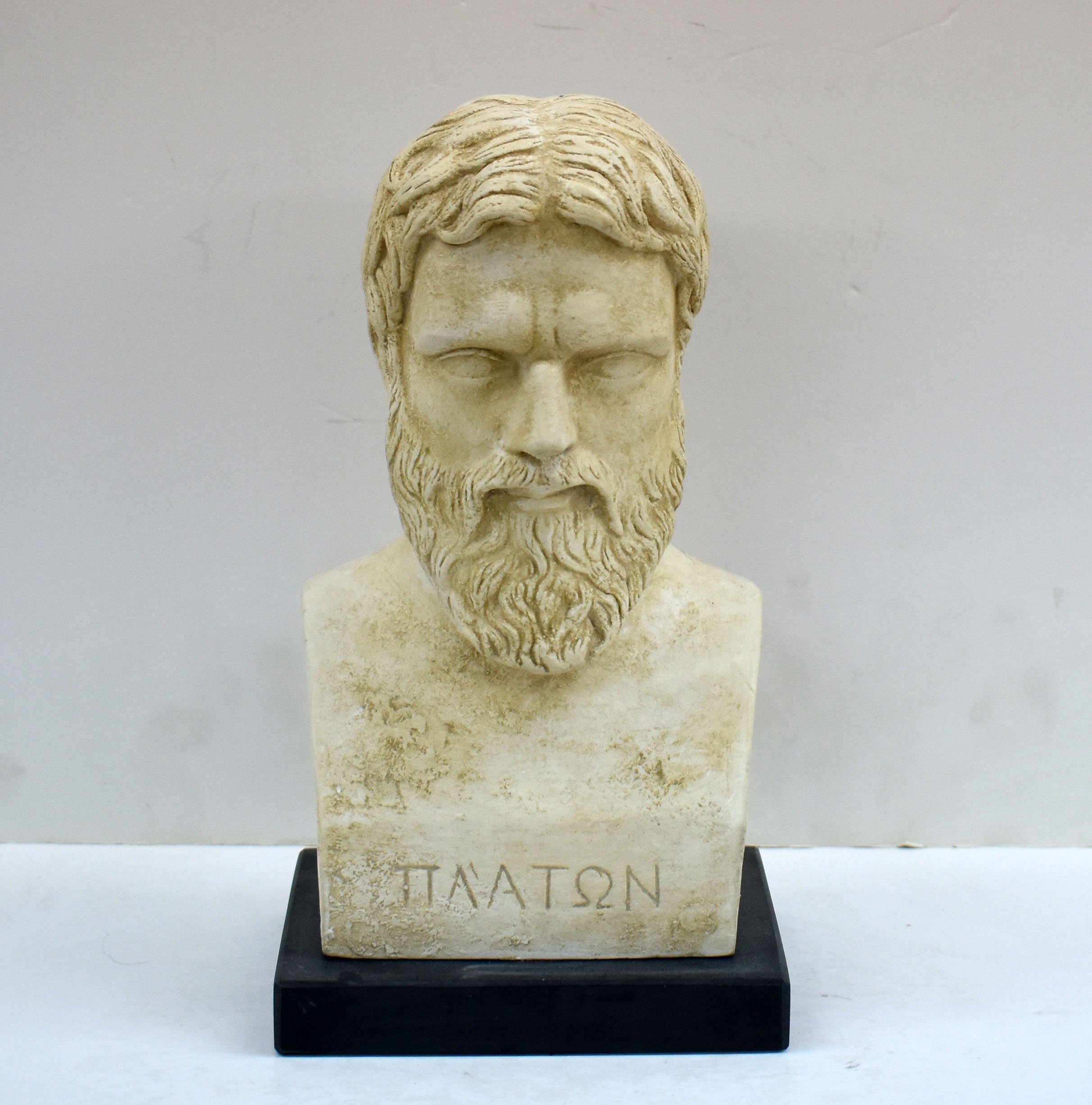 Plato Bust
