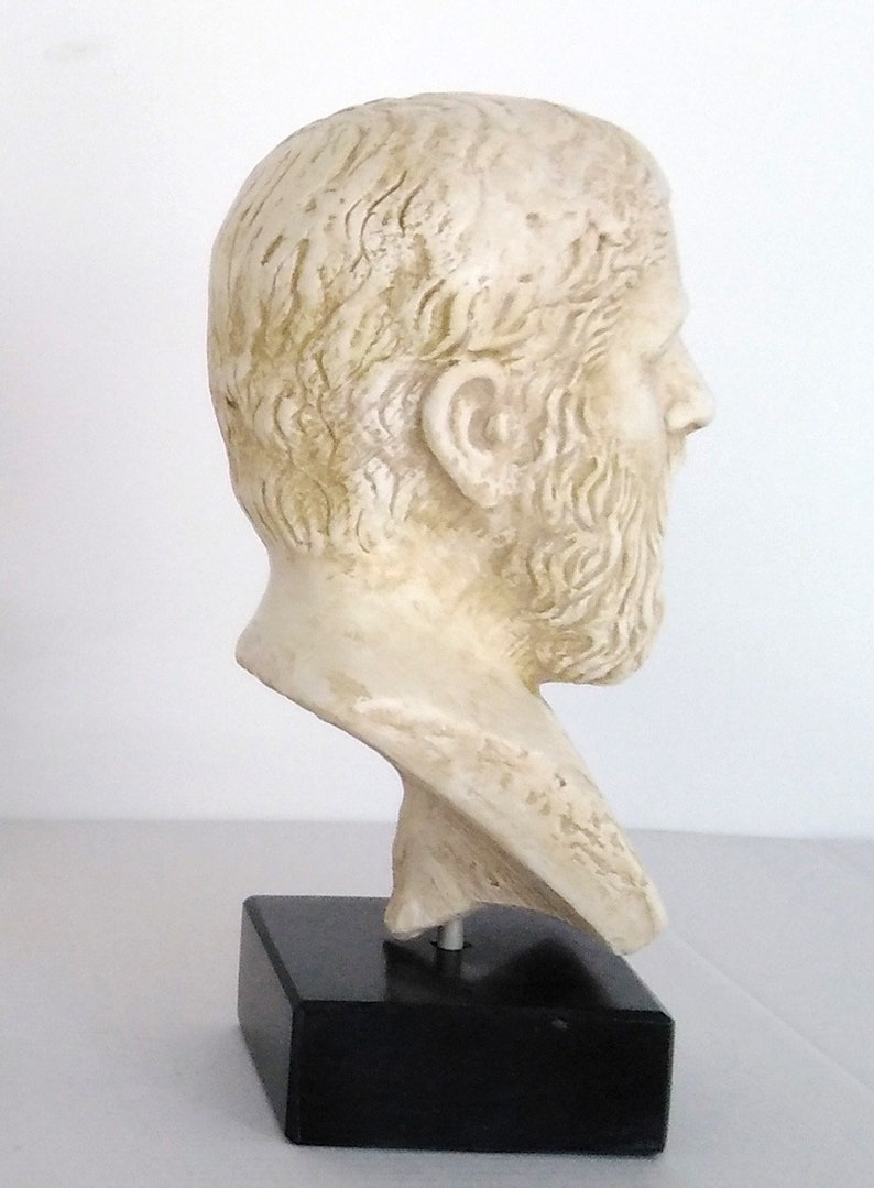Plato the Philosopher Bust Western Philosophy Founder - Etsy