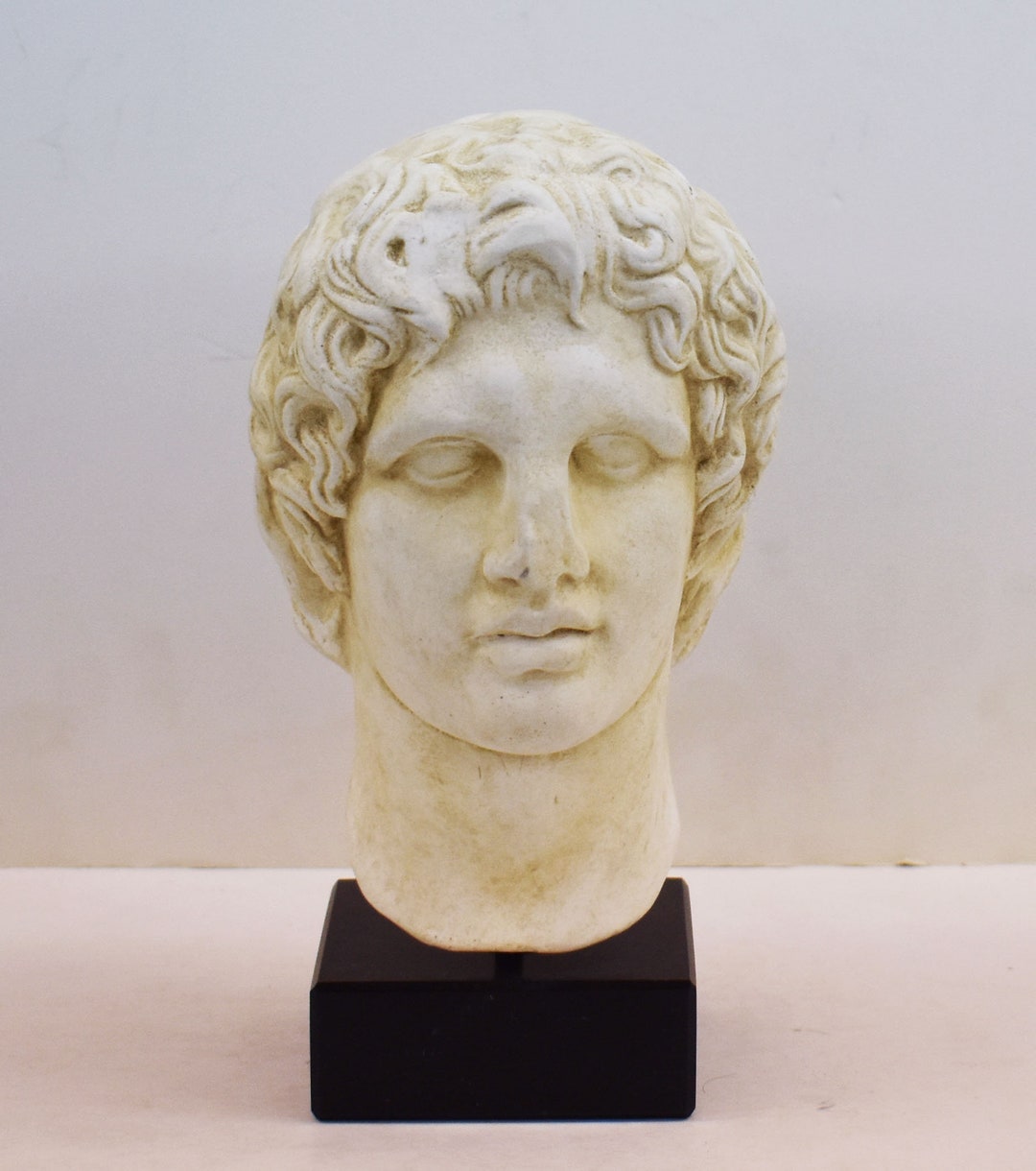 Alexander the Great Bust Head King of the Ancient Greek Kingdom of ...