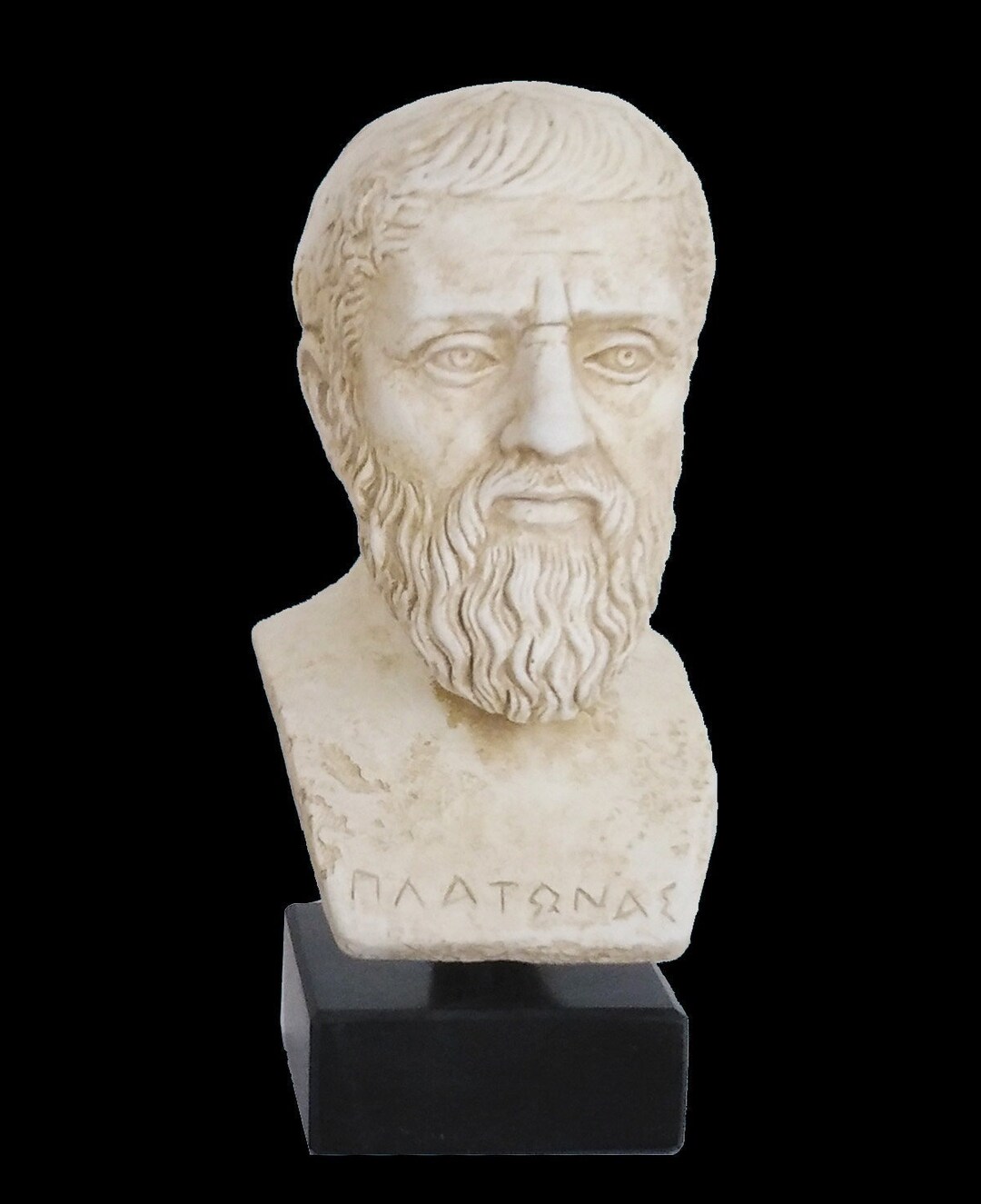 Plato the Philosopher Bust Western Philosophy Founder Bust of Plato ...