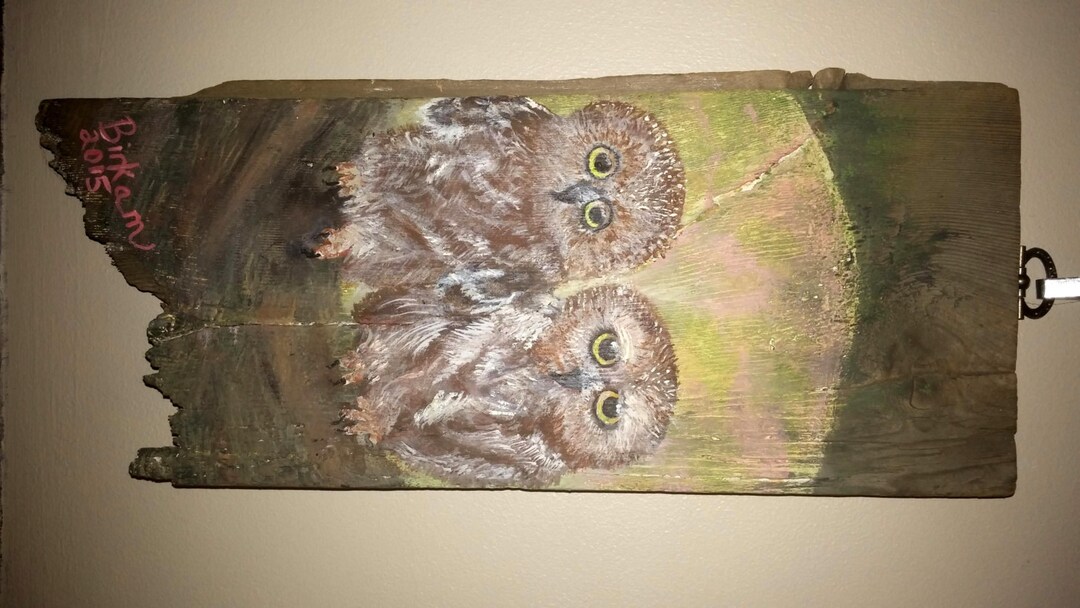 Suet Owl Owlets Painted With Acrylic Paint on Reclaimed Wood. Free ...