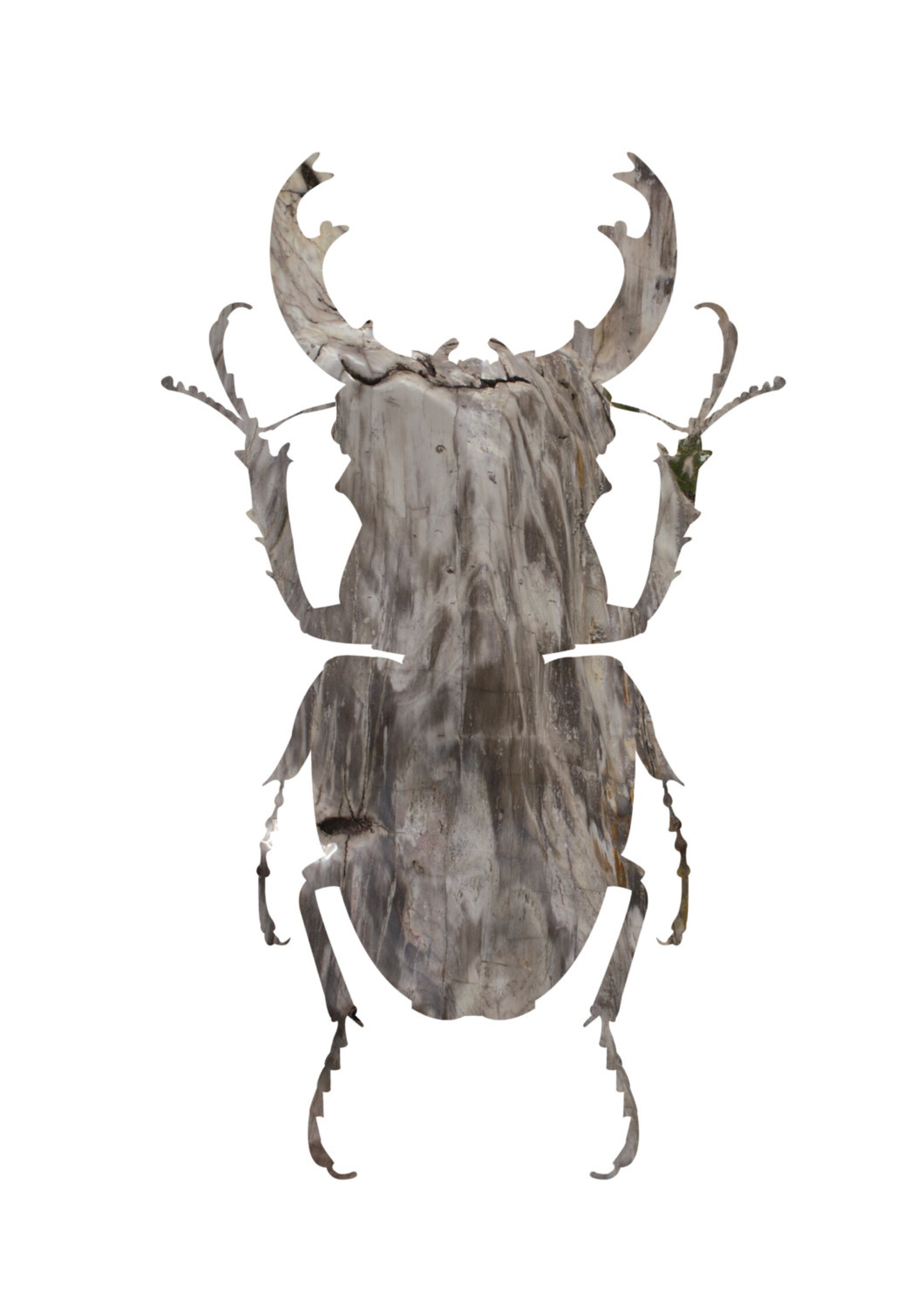 Wood Beetle A3 A2 Poster Digital Insect Print / Wall Art / - Etsy