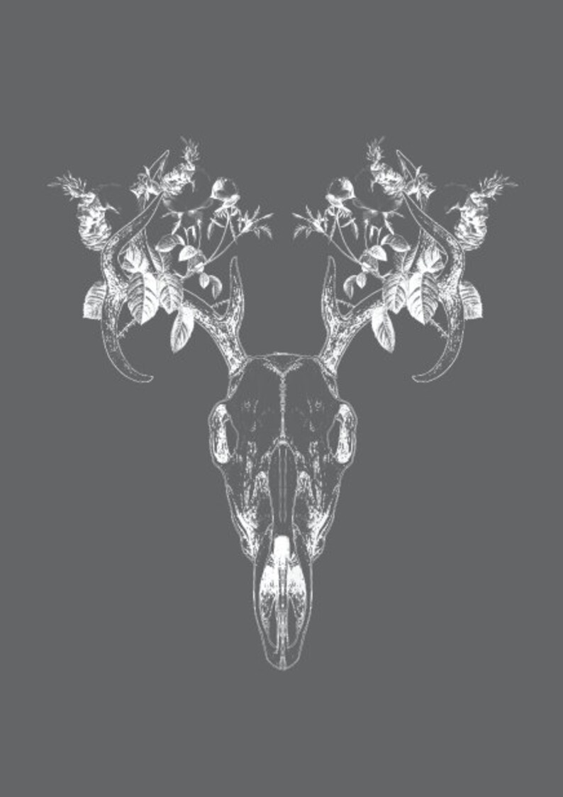 Deer Stag Head Skull Grey and White A3 Poster / Wall Art / Home ...