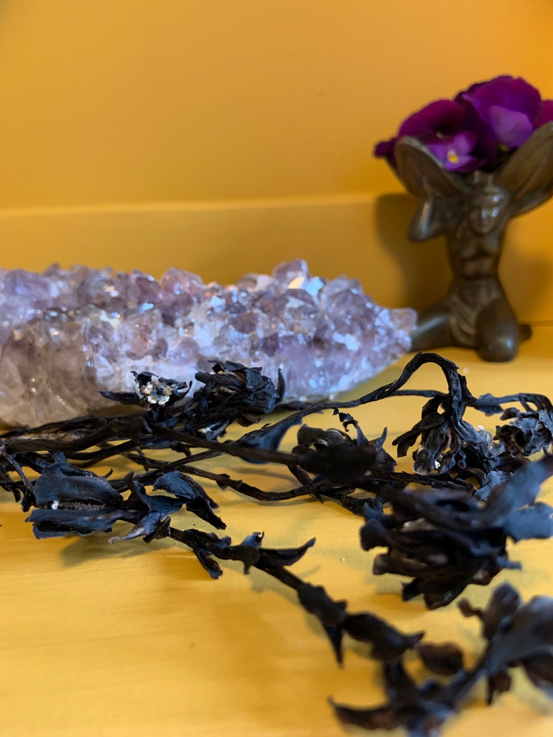 Dried Ghost Pipe Flowers Indian Pipe Whole Flower Box of 12 - Etsy
