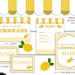 Lemonade Stand Pretend Play Printable Bundle: "lemonade Play" Lemon ...