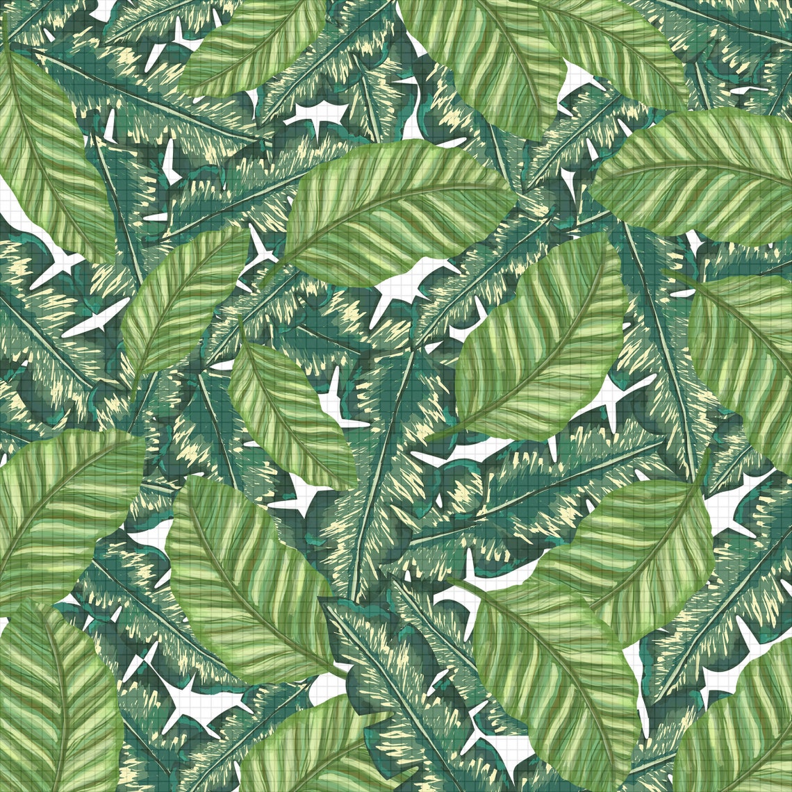 Palm Monstera Digital Paper: under THE Palms - Etsy