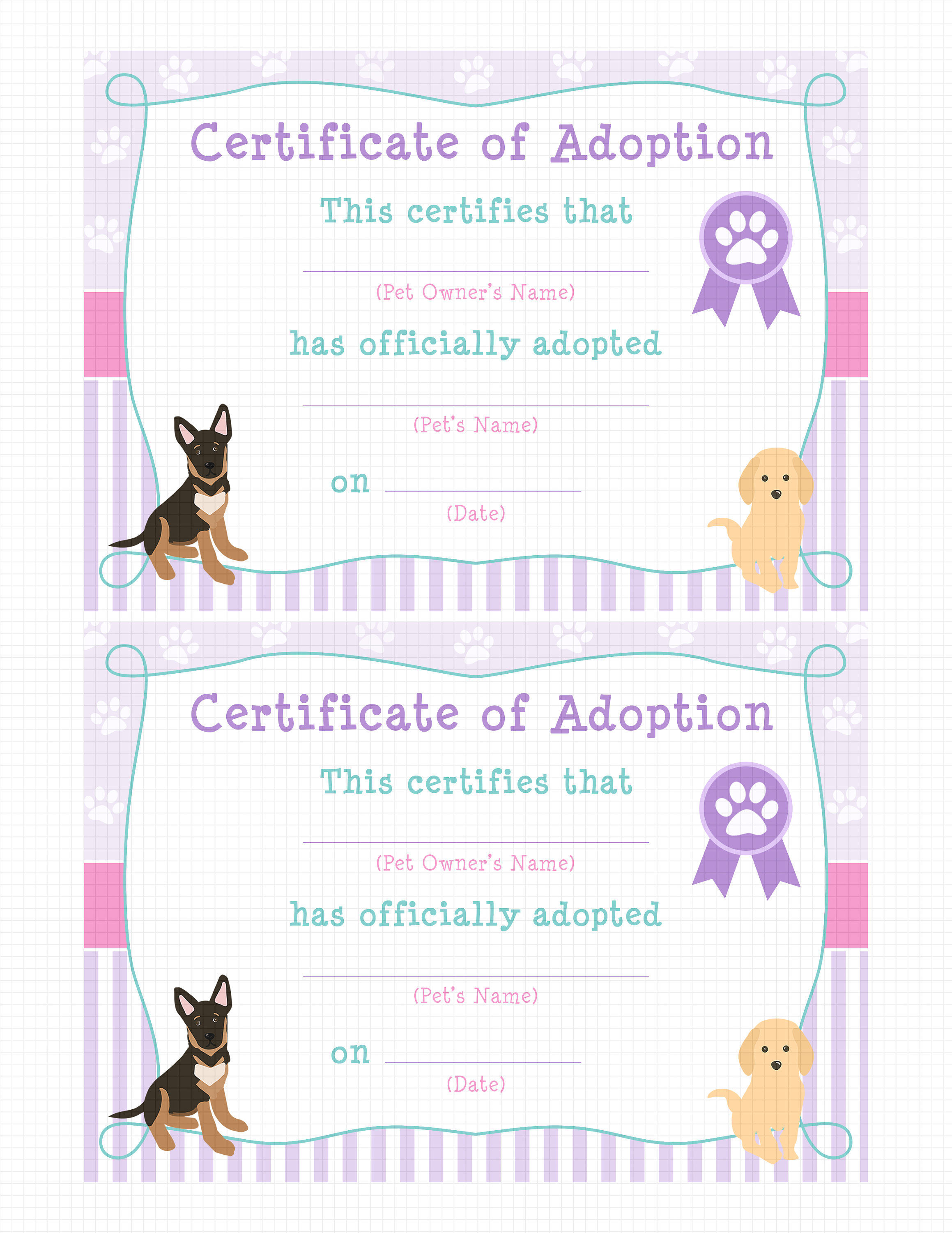 Adopt a Pet Certificate Party Digital File: PET ADOPTION | Etsy