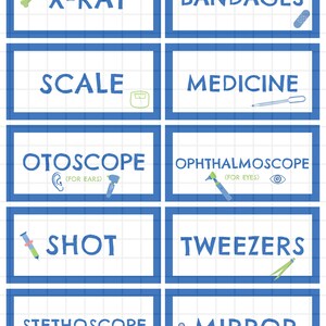 Vet Pretend Play Printable Bundle: "vet CLINIC Play" Veterinarian, Prek ...