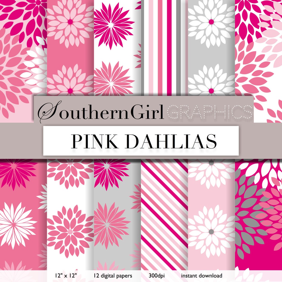 Dahlias and Mums Digital Paper: "pink Dahlias"pink, Gray, White, Dahlia ...