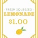 Lemonade Stand Pretend Play Printable Bundle: "lemonade Play" Lemon ...