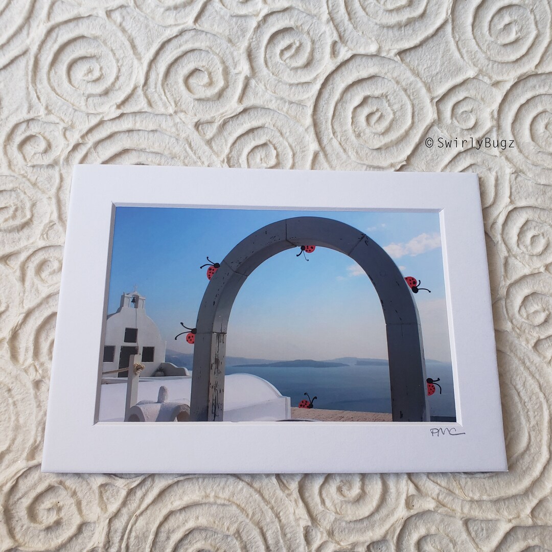 LADYBUGGED PHOTO - Arch, 5x7 Mat/4x6 Photo, Hand Painted Ladybugs ...