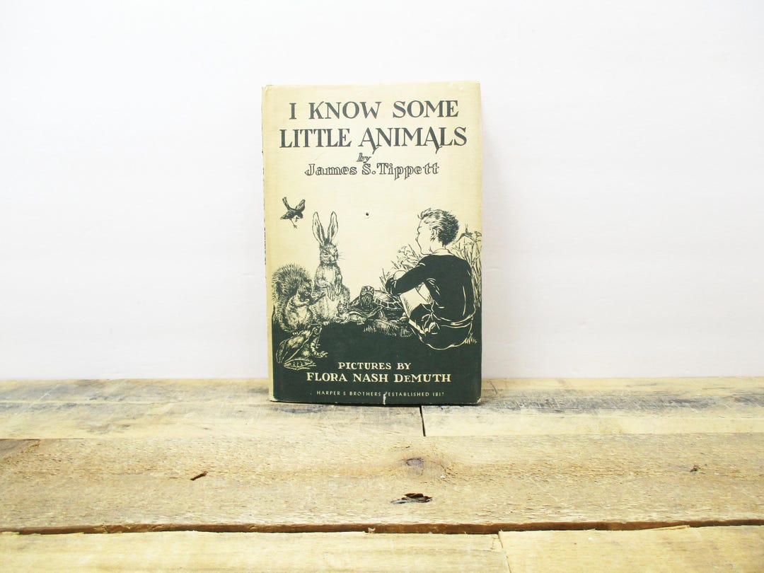 1941 - I Know Some Little Animals by James S. Tippett, Pictures by ...