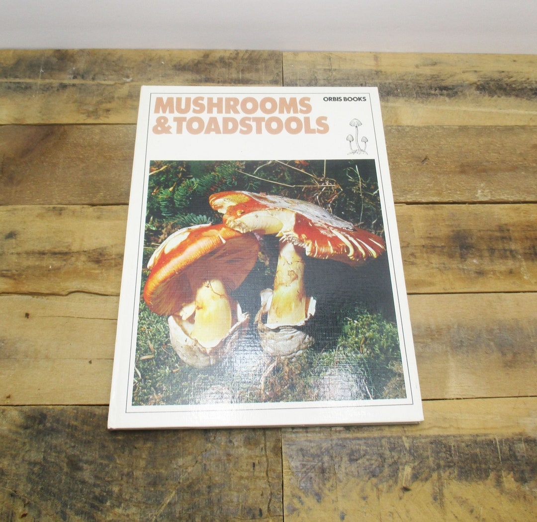 1970s Mushroom & Toadstools Guide - Perfect Hardcover, Coffee Table ...