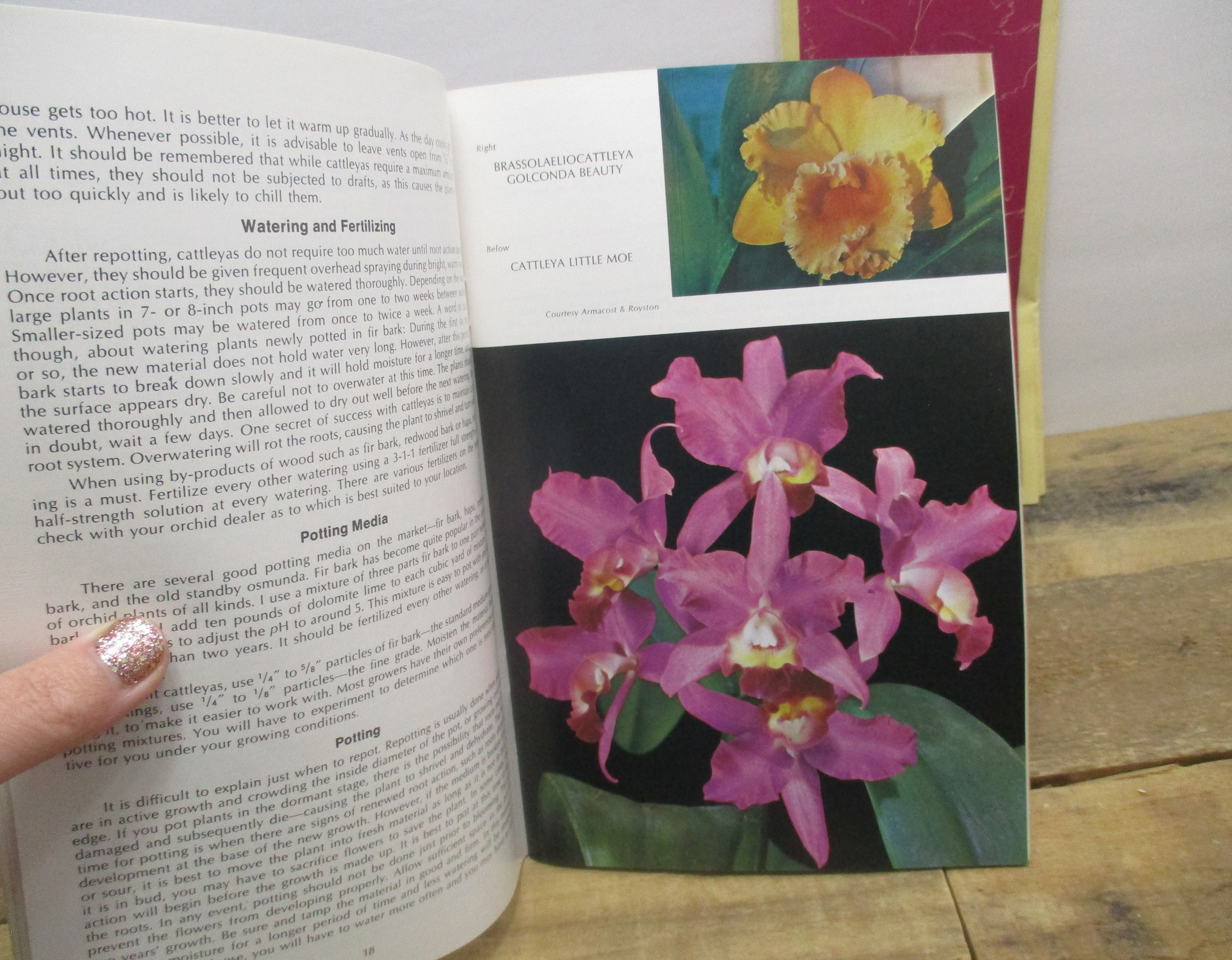 1970s Orchid Growing Book and Orchid Pamphlet - Great Gift for a ...