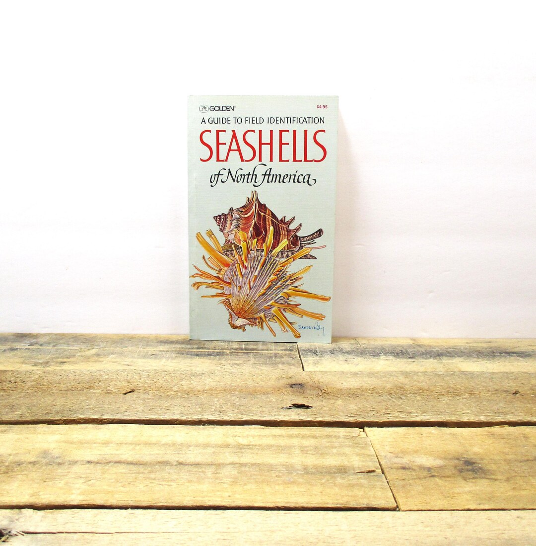 1968 Seashell Guide Seashells of North America: A Guide to Field ...