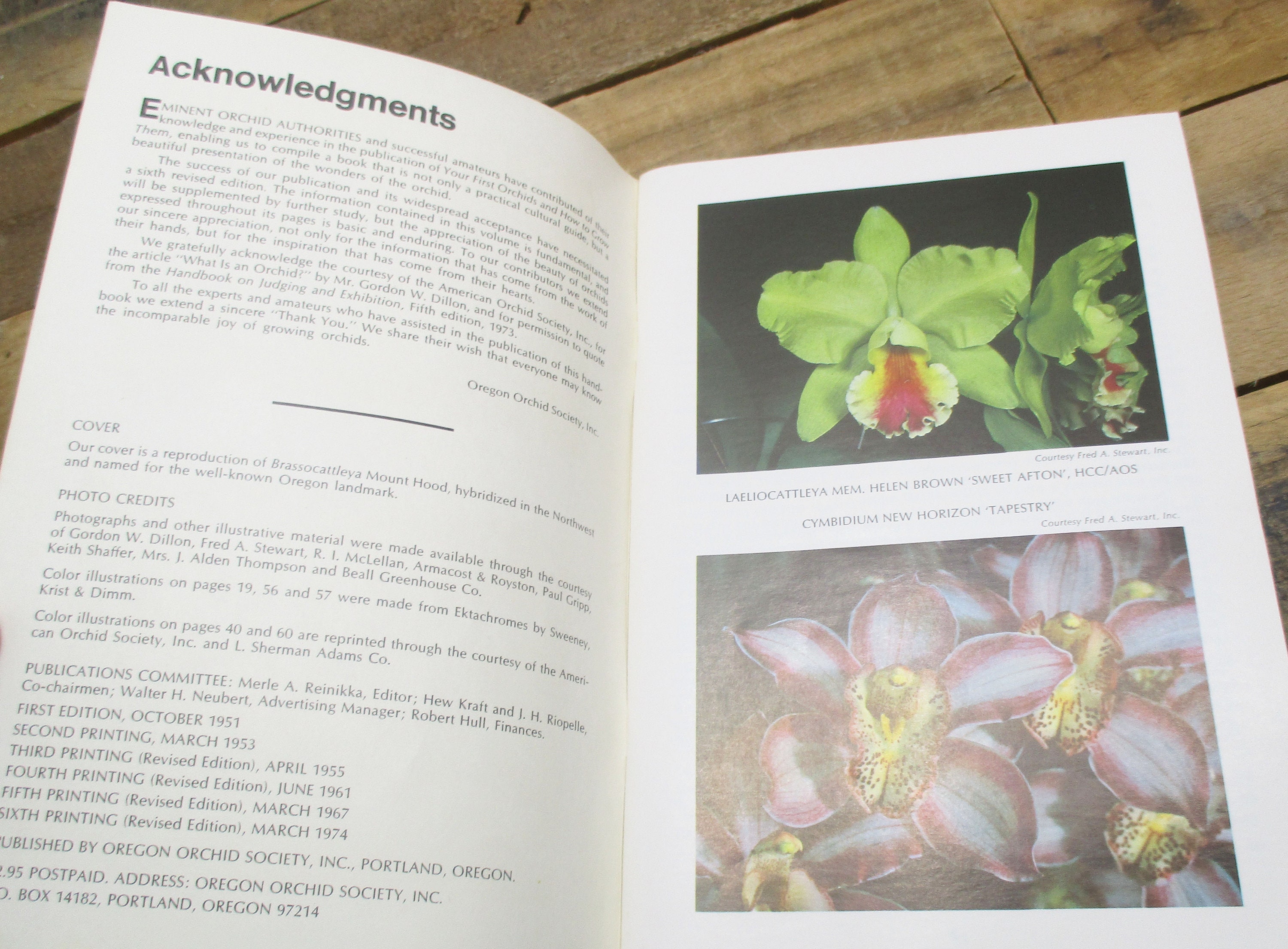 1970s Orchid Growing Book and Orchid Pamphlet - Great Gift for a ...