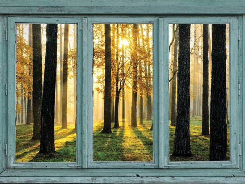 Window Looking Out Into the Forest and the Sun Peeking Wall | Etsy