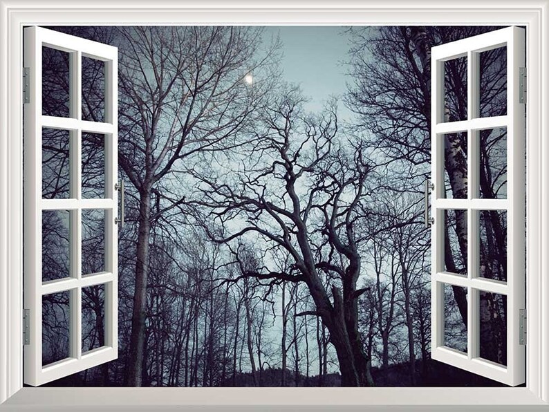 Window Looking Out Into a Forest with Trees Full of Branches | Etsy