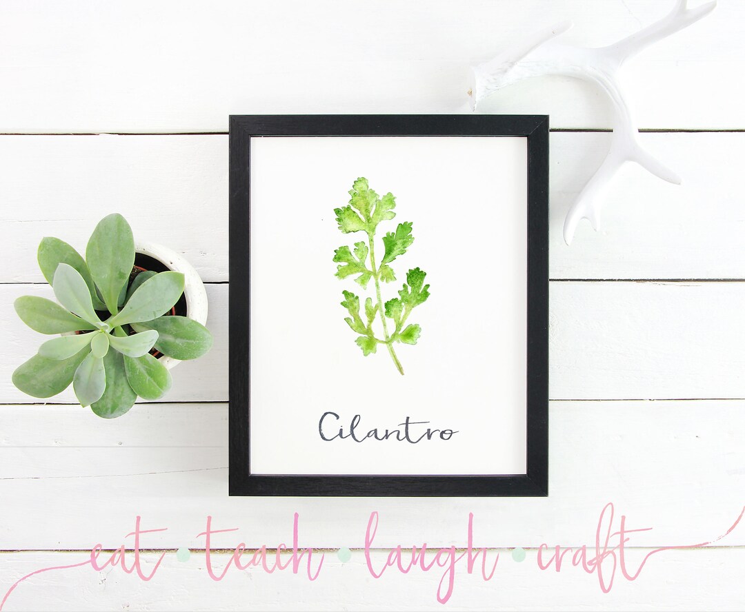 Cilantro Kitchen Herb Print - DIY Printable Sign - Kitchen Decor ...