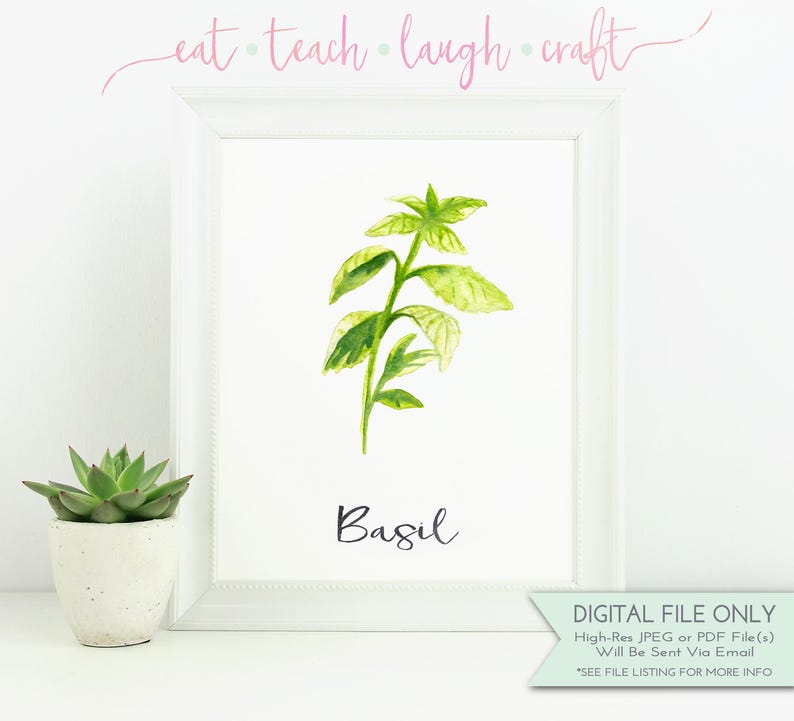 Basil Kitchen Herb Print DIY Printable Sign Kitchen Decor - Etsy