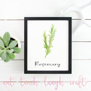 Rosemary Kitchen Herb Print - DIY Printable Sign - Kitchen Decor ...