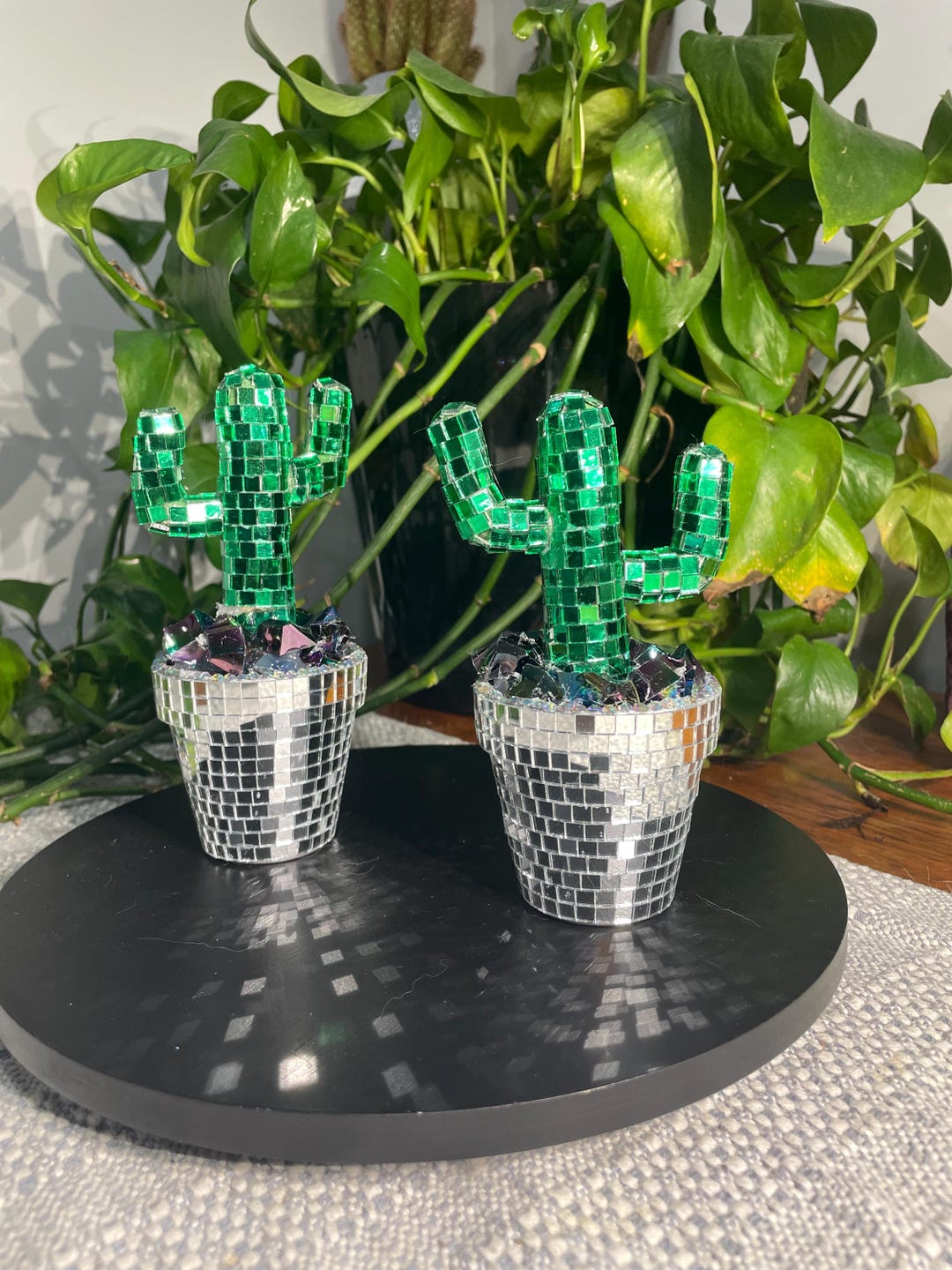 Green Disco Cactus in Disco Pot - Etsy