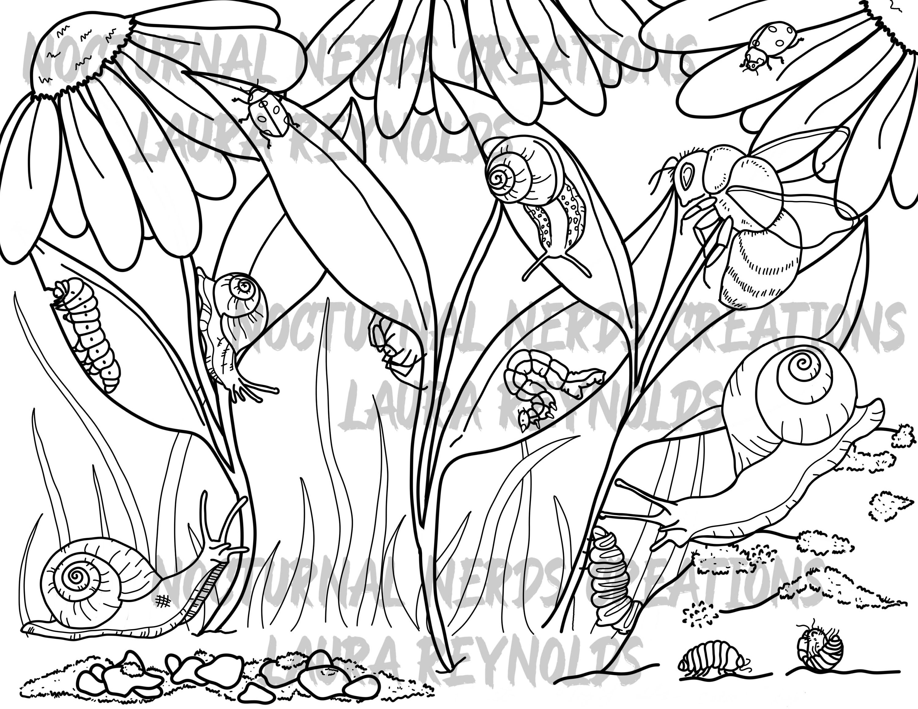 Adult Coloring Page Bug Garden Snails Insects Art Therapy Instant ...