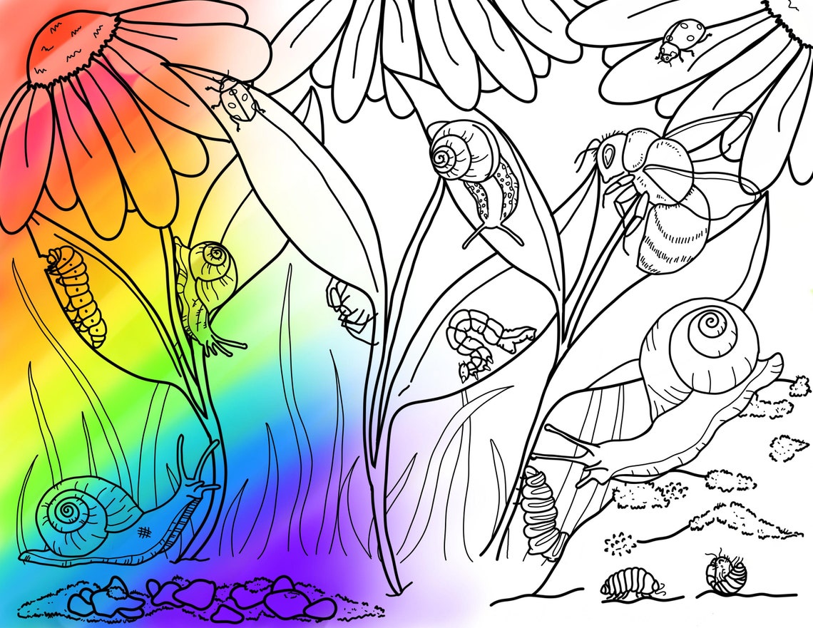 Adult Coloring Page Bug Garden Snails Insects Art Therapy Instant ...