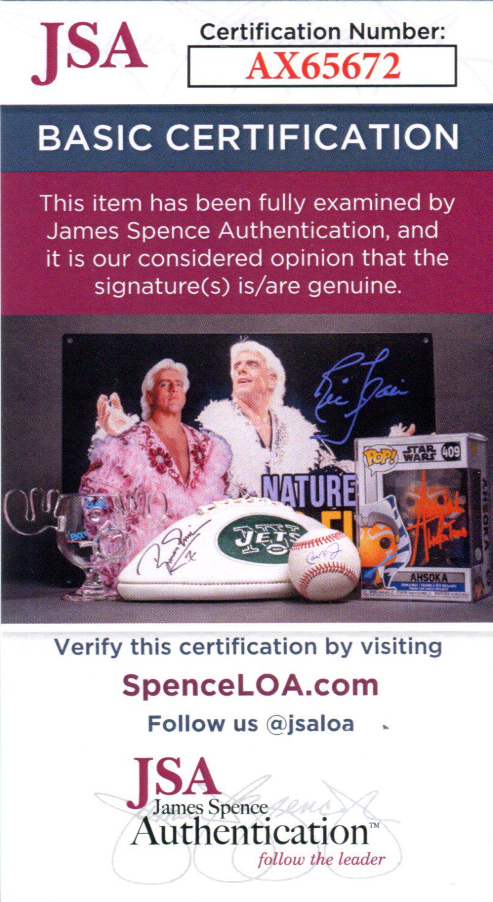 Michelle Phillips, Singer of the Mamas & the Papas Hand Signed JSA ...