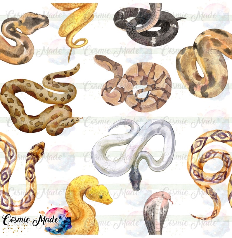 Watercolor Snake SEAMLESS Digital File - Etsy