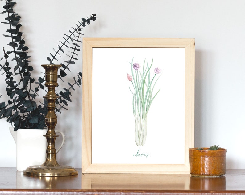 Chives DIGITAL Herb Watercolor Painting Garden Art Botanical - Etsy