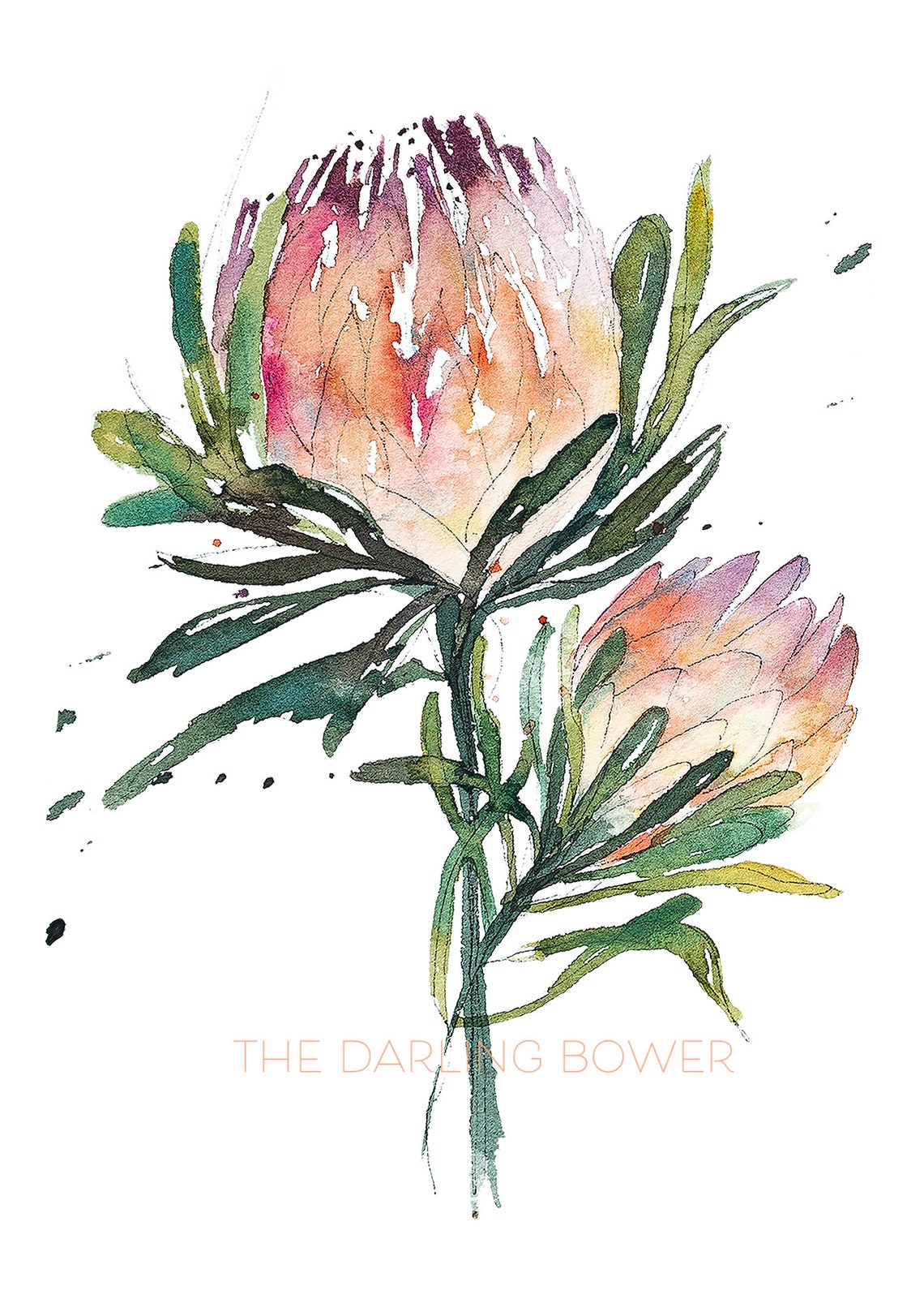 King Protea Digital Download - Watercolor Painting, Botanical Wall Art ...