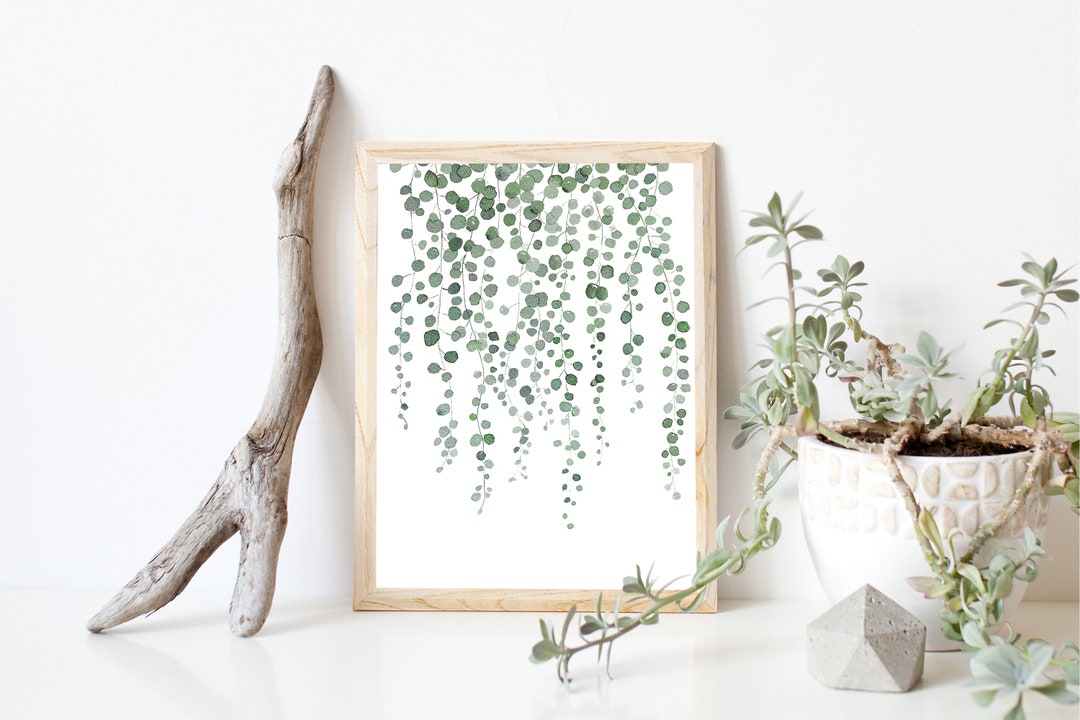 String of Pearls Watercolor Print: Botanical Garden Art (digital ...