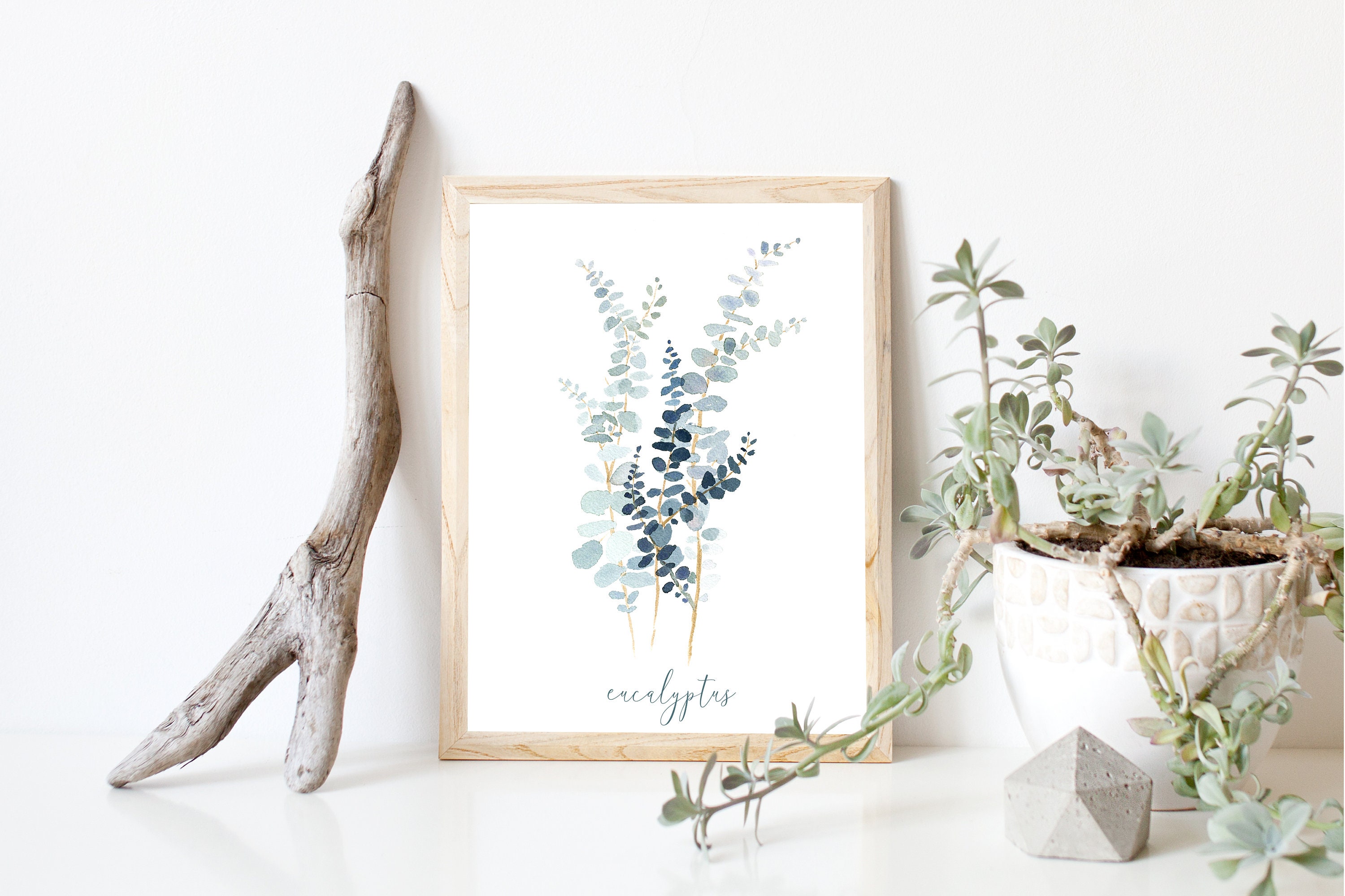 Eucalyptus DIGITAL Watercolor Painting garden Herb Botanical | Etsy