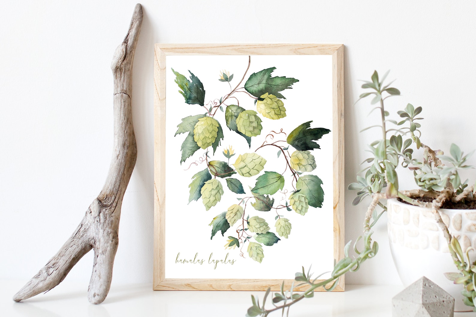 Hops Plant Printable Botanical Wall Art Watercolor | Etsy