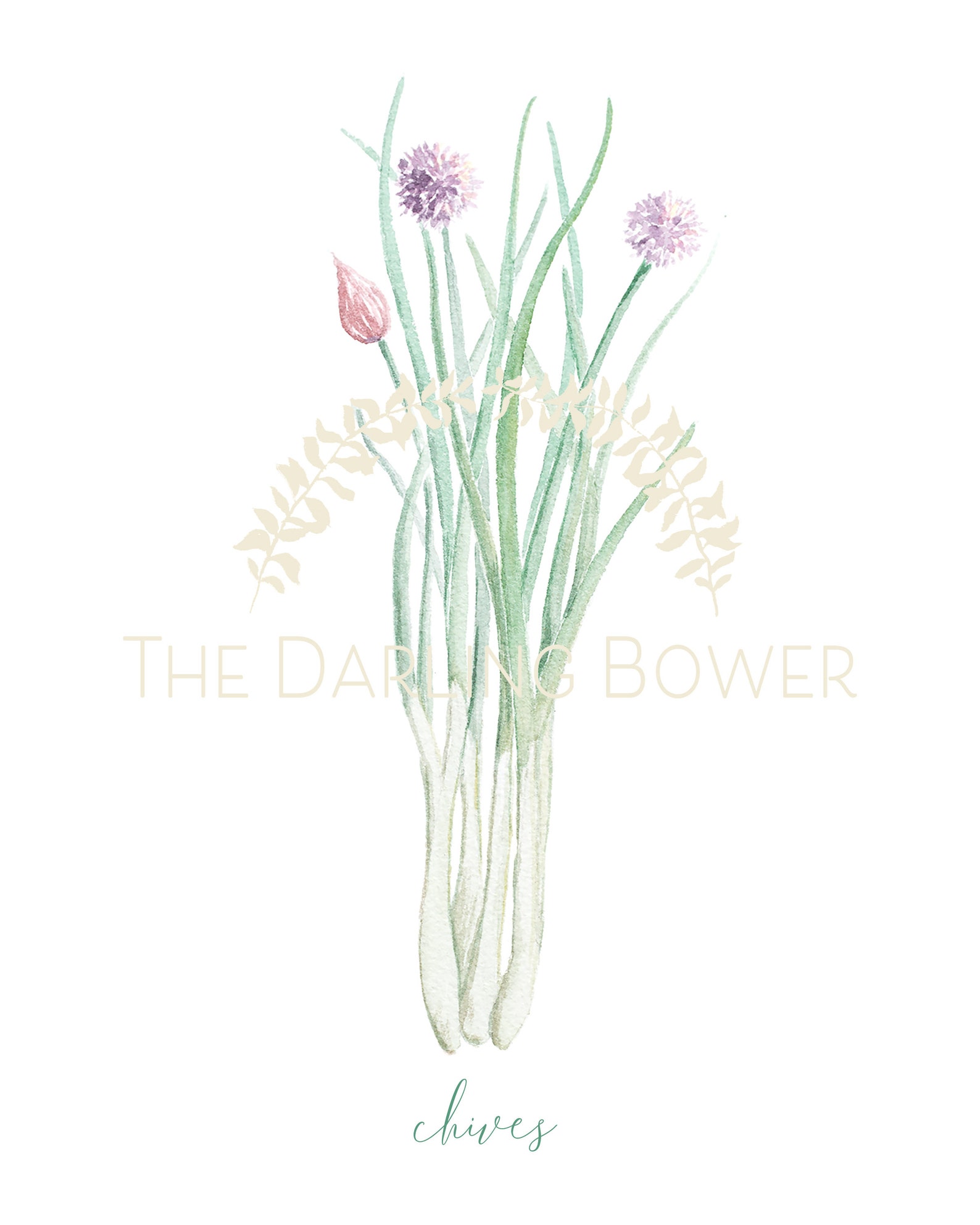 Chives DIGITAL Herb Watercolor Painting Garden Art Botanical - Etsy