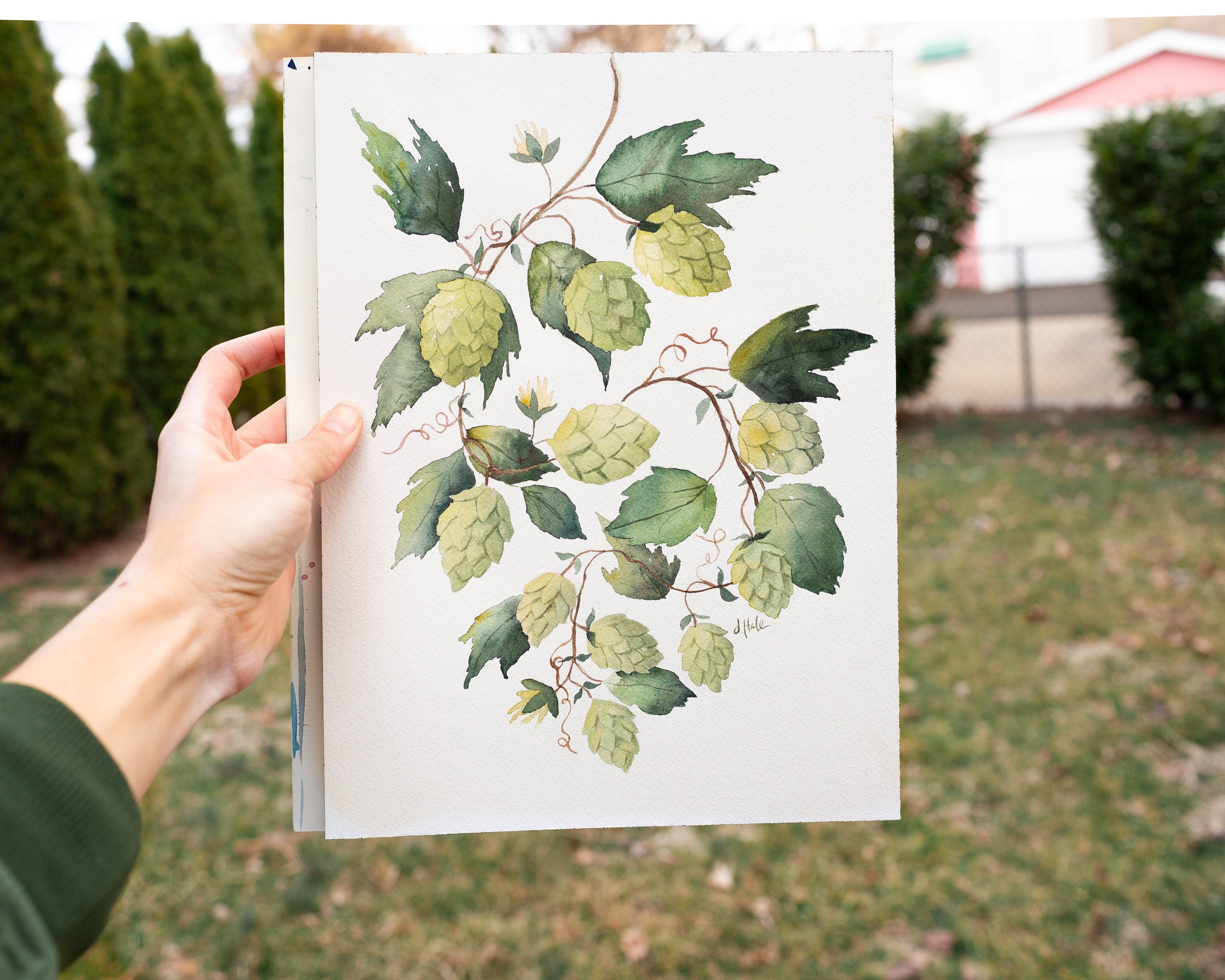 Hops Plant Printable Botanical Wall Art Watercolor | Etsy