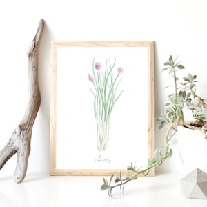 Chives DIGITAL Herb Watercolor Painting! Garden Art, Botanical Wall Art ...