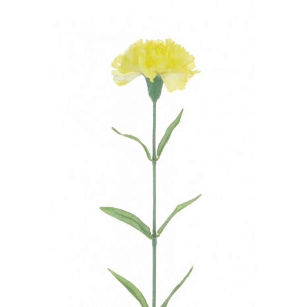 Artificial Lemon Yellow Carnation Stem, Artificial Carnation, Faux ...