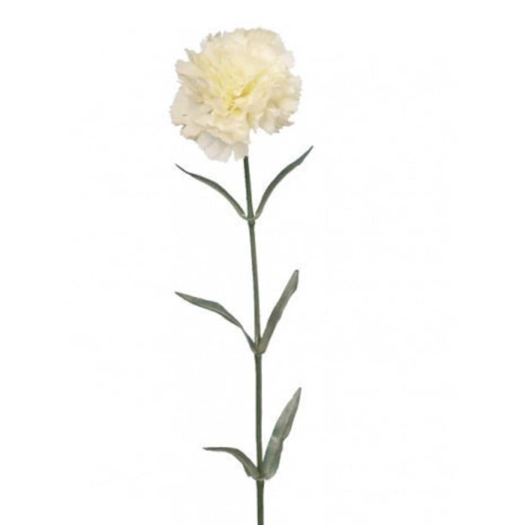 Artificial Cream Carnation Stem, Luxury Floral Decor (71cm) - Etsy