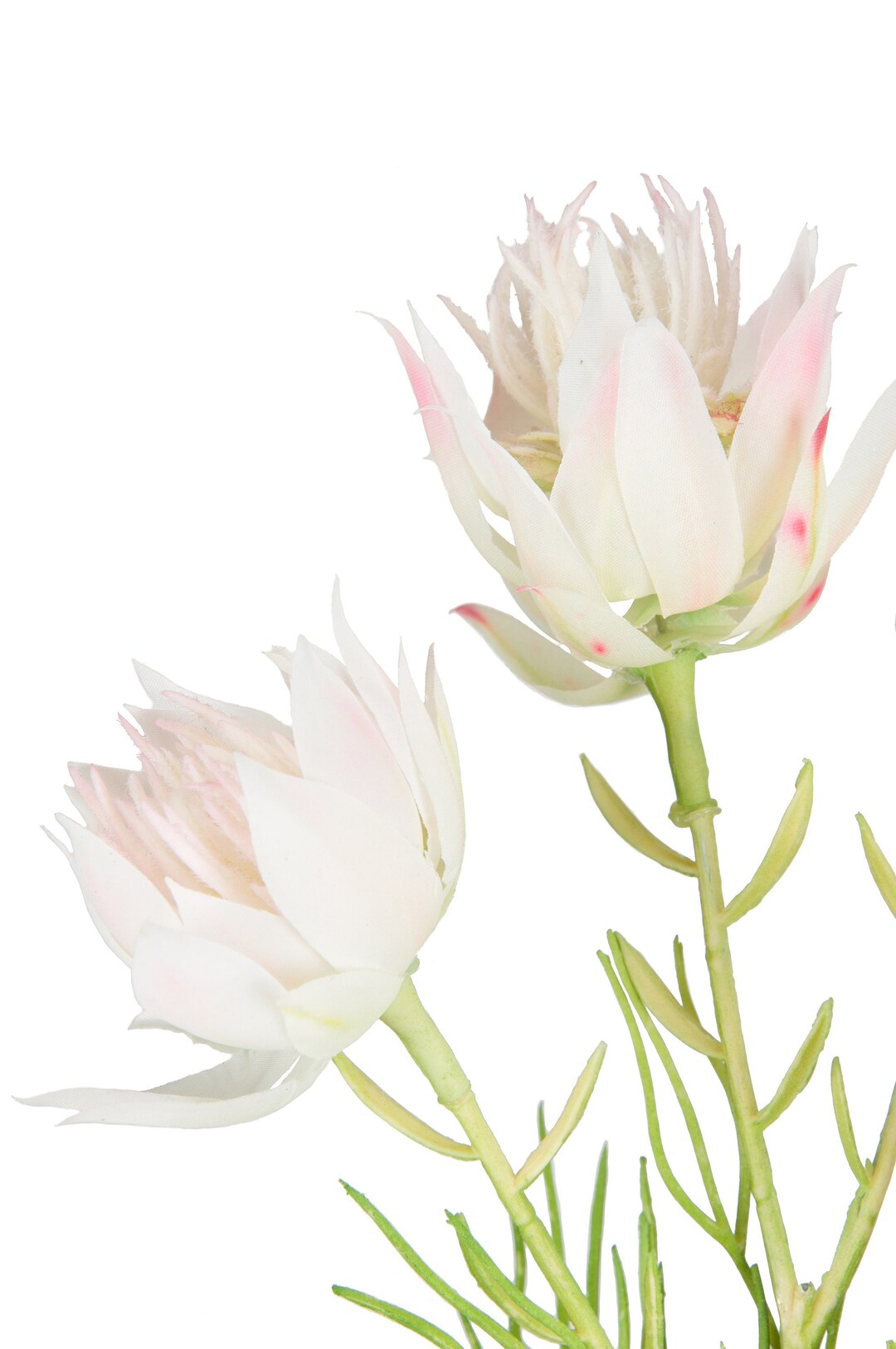 NEW Blushing Bride Protea Faux Protea Artificial Flowers - Etsy