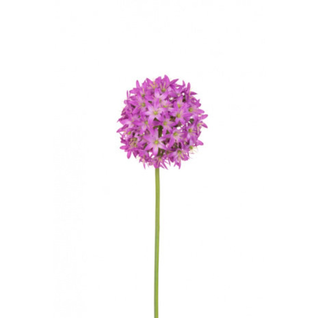 Luxury Artificial Magenta Allium Spray Artificial Allium, Faux Allium ...