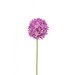 Luxury Artificial Magenta Allium Spray Artificial Allium, Faux Allium ...