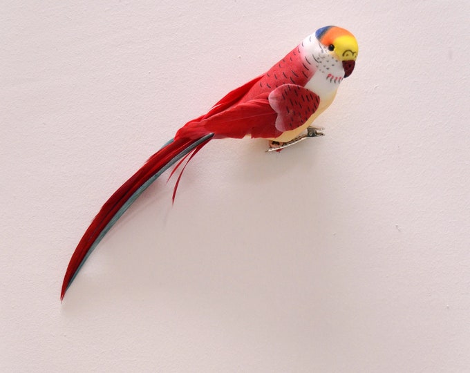 Pirate Shoulder Parrot - Etsy