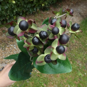 Artificial Burgundy Hypericum Berry Spray, Faux Berry Stem, Wine ...