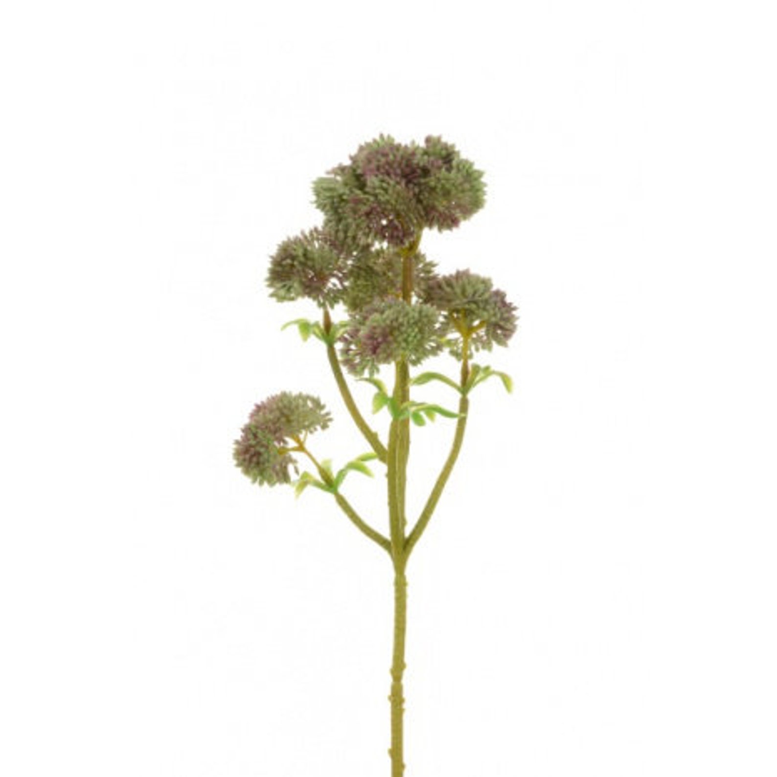 Artificial Angelica Stem Faux Angelica Artificial Plant | Etsy