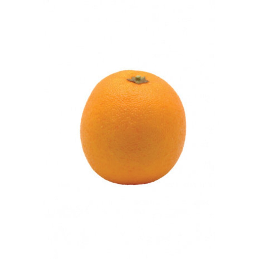 Artificial Orange Fruit, Faux Orange, Weighted Decor (8cm) - Etsy