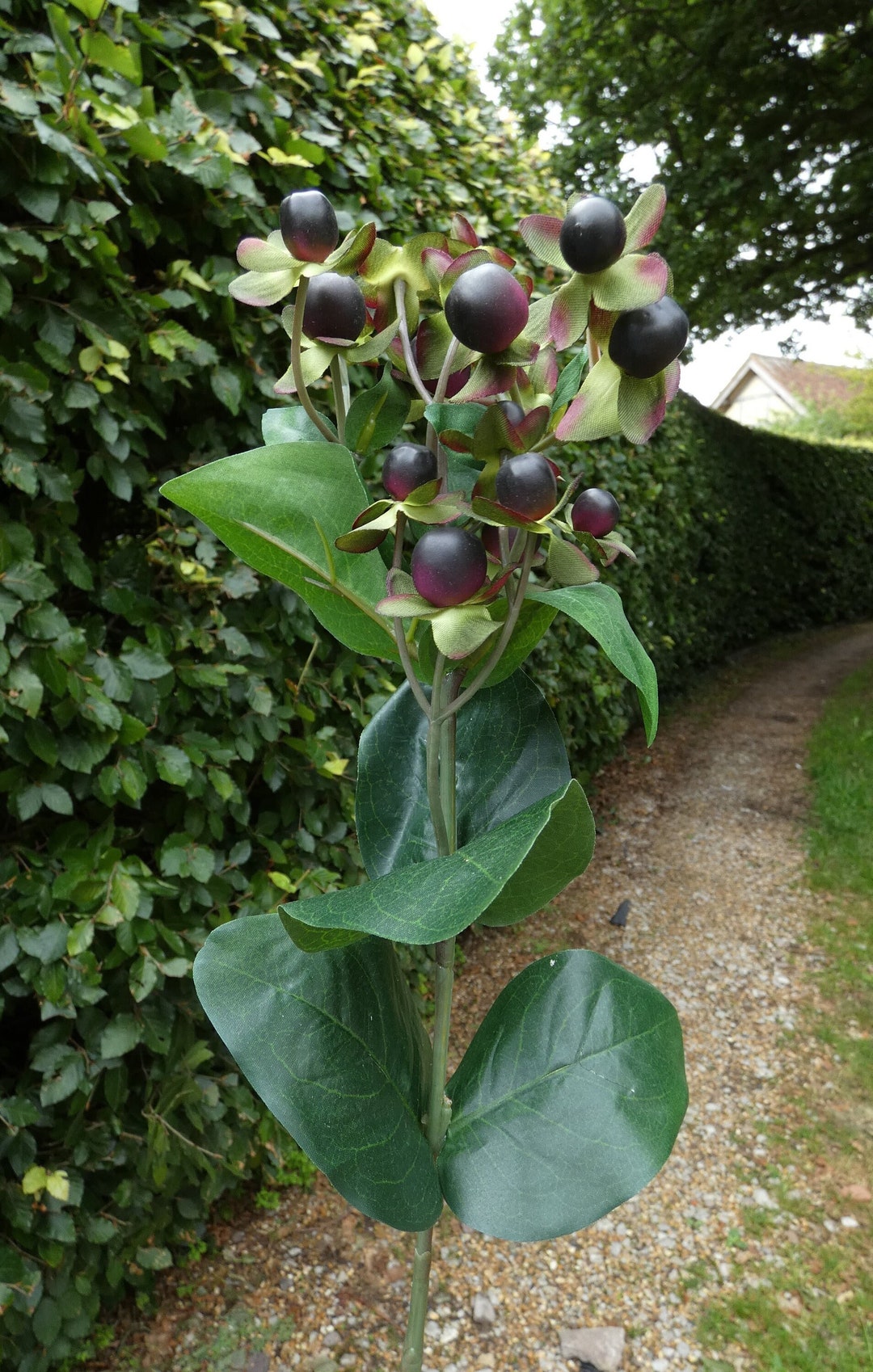 Artificial Burgundy Hypericum Berry Spray, Faux Berry Stem, Wine ...